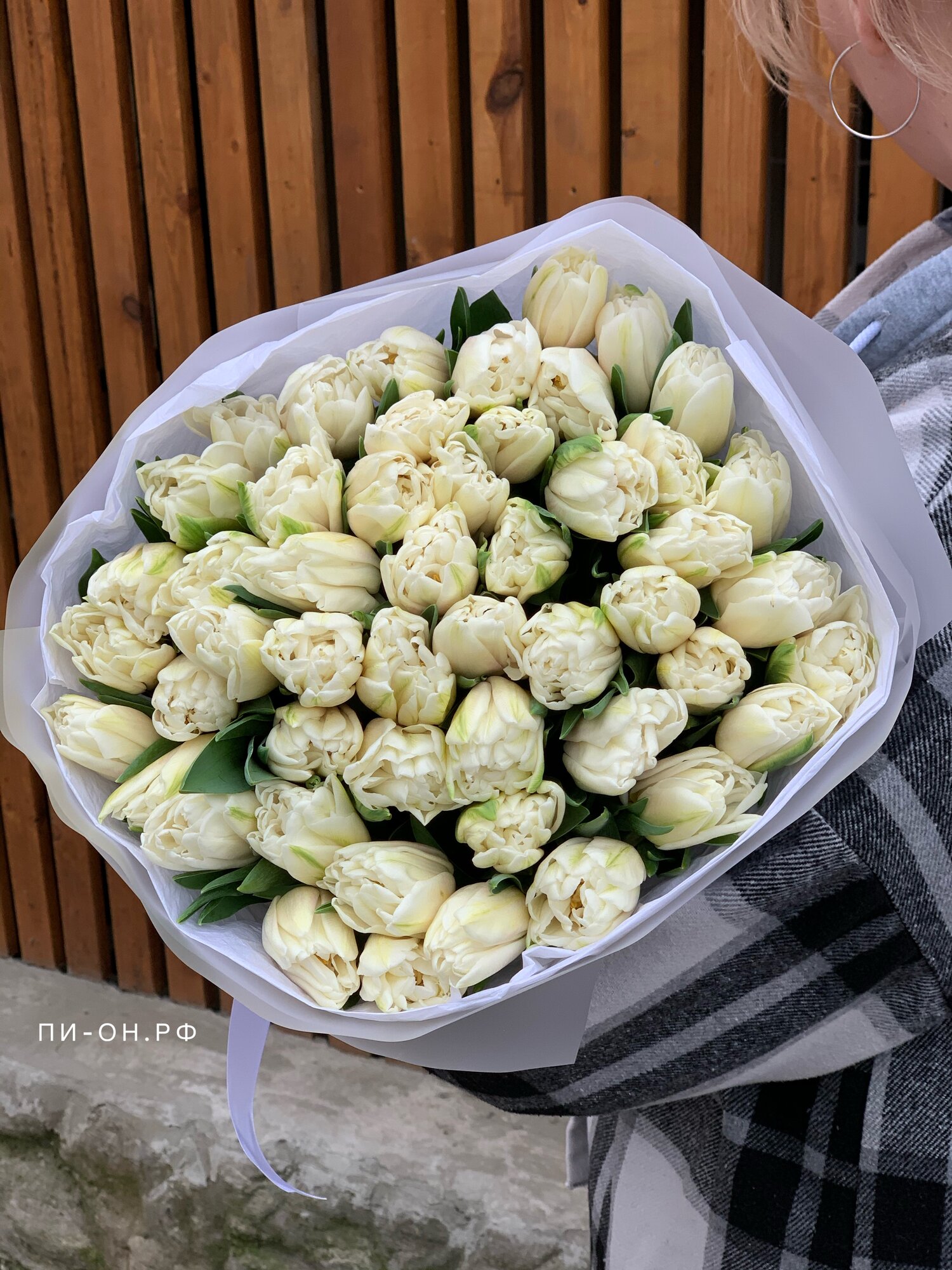 Букет живых цветов Пионовидные тюльпаны, белые, 51 цветок, в стильной упаковке