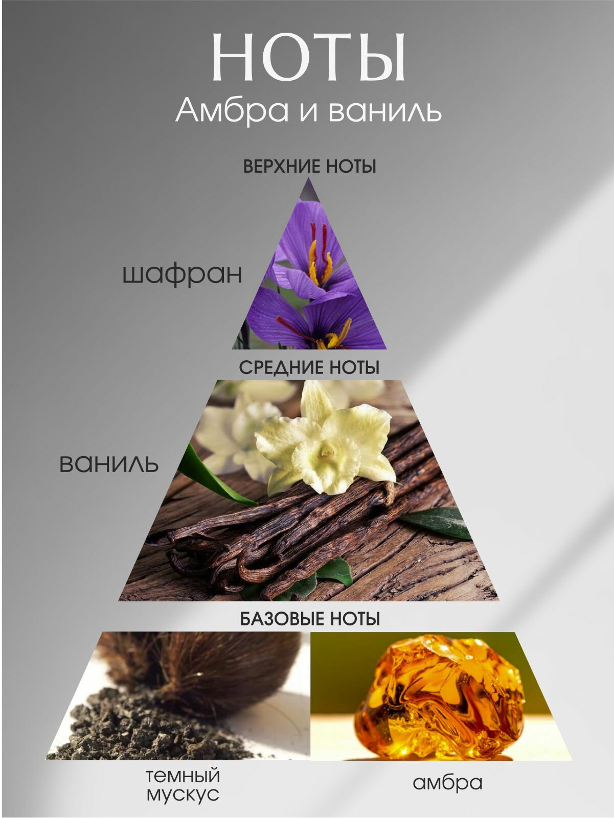Ароматизатор MIRASTRO HOME "Амбра и ваниль", подвесной, 7 мл — фото 1