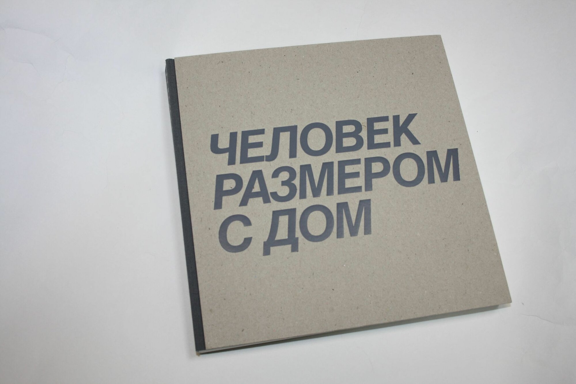 Дмитрий Брусникин. Человек размером с дом