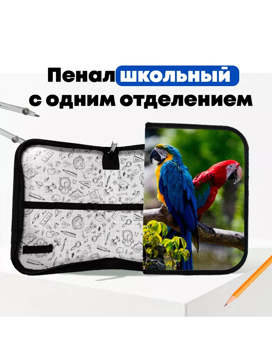 Школьный пенал Попугай