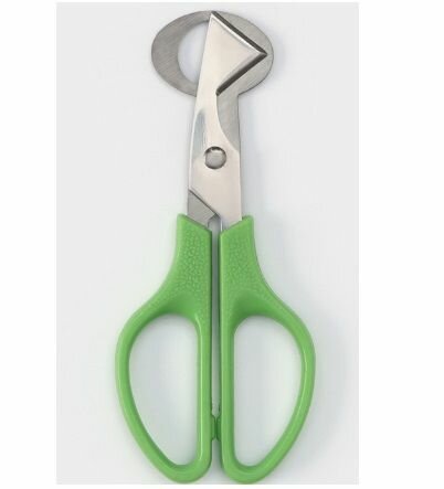 Ножницы для перепелиных яиц 14*6см, нержавеющая сталь