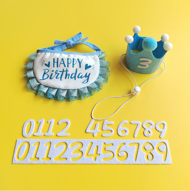 Праздничный набор для кошек и собак