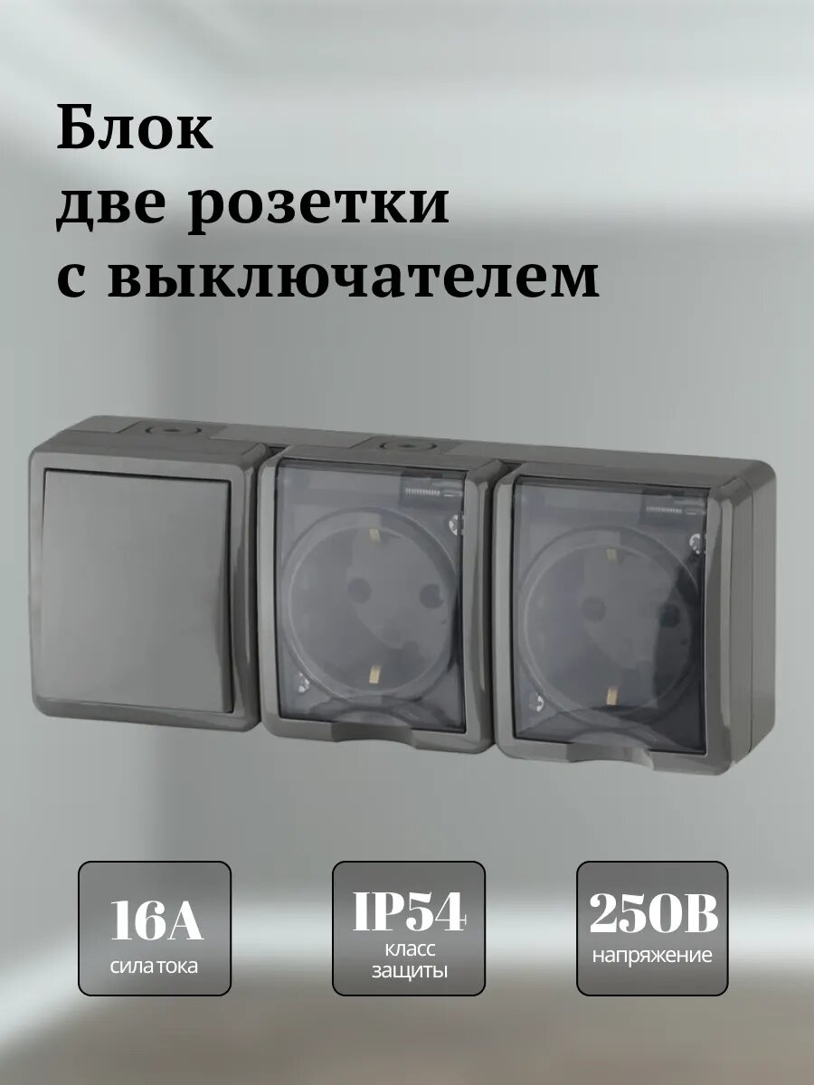 Блок ЭРА Эксперт горизонтальный, с одноклавишным выключателем и двумя розетками, с защитной крышкой, IP54, серый
