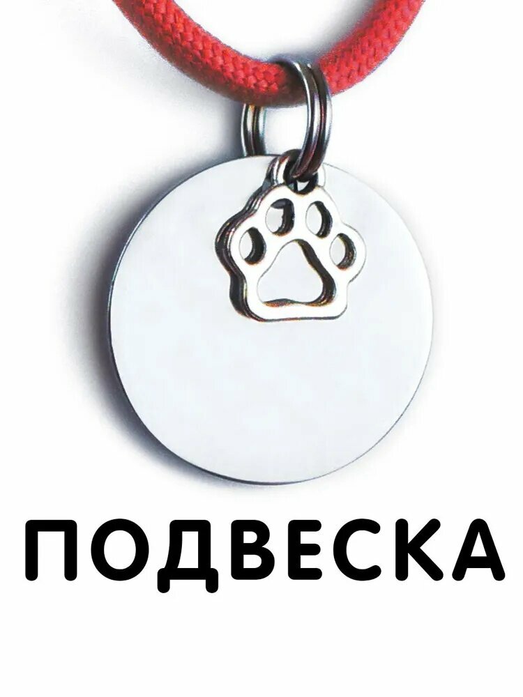 Адресник для собак и кошек с гравировкой. Регулируемый шнурок, нержавеющая сталь, круглый 25 мм. Чудолапки
