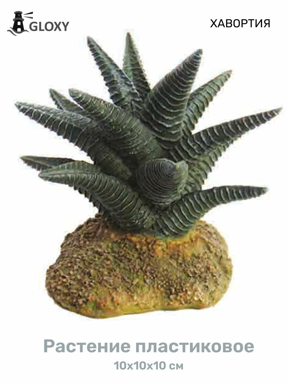 Растение пластиковое для террариума Gloxy Хавортия, 10х10х10 см