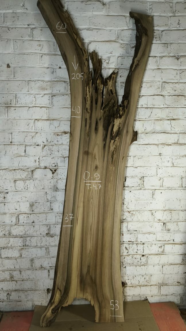 Слэб дерева Орех грецкий О9, под заливку эпоксидной смолой, выровнен в плоскости