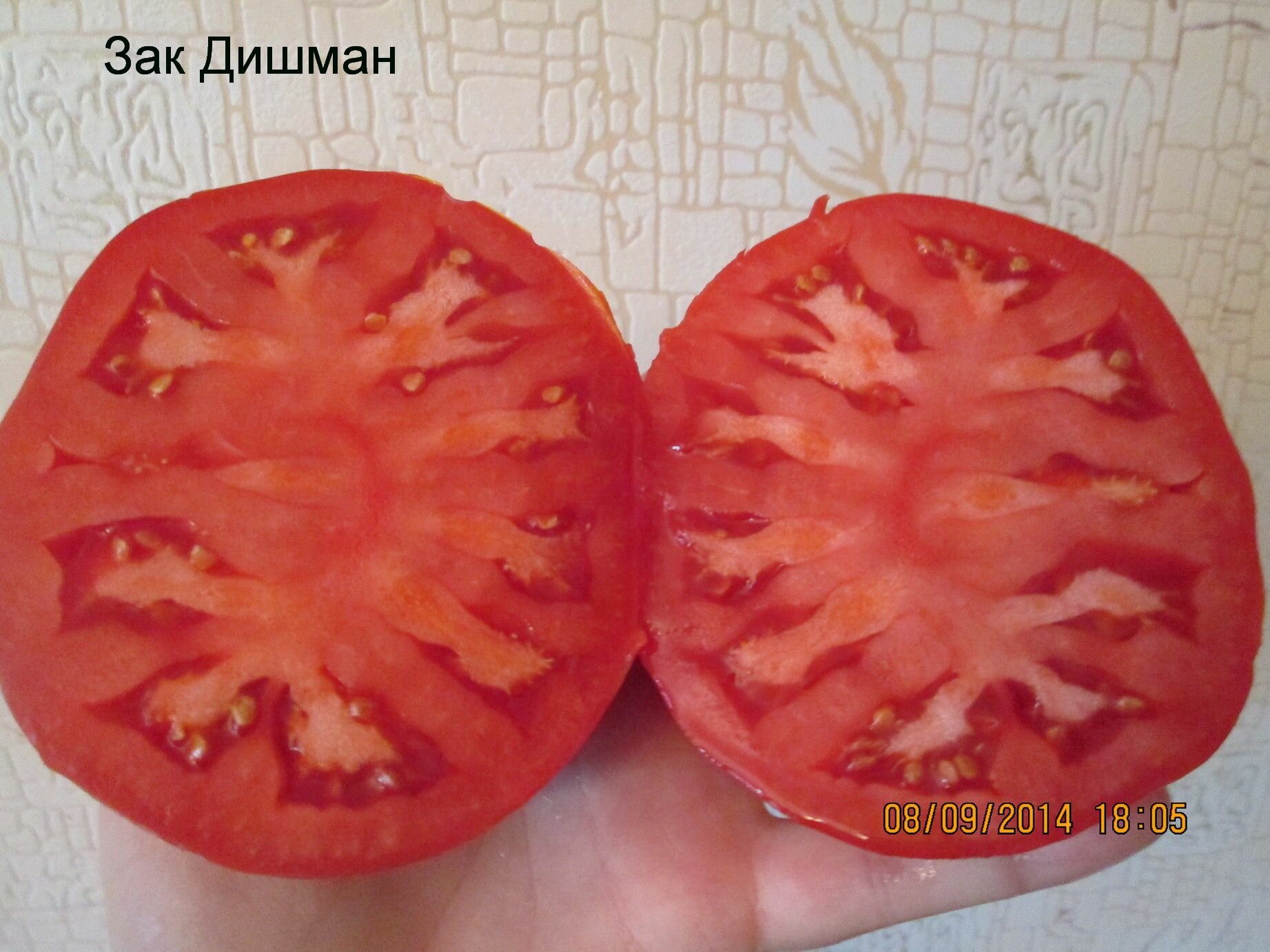 Коллекционные семена томата Зак Дишман