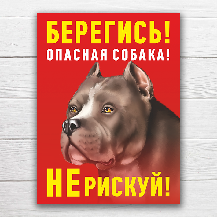 Табличка "Берегись, опасная собака, не рискуй", 40х30 см, ПВХ