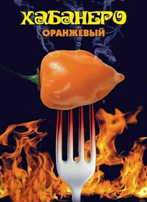 Коллекционные семена перца острого Хабанеро оранжевый