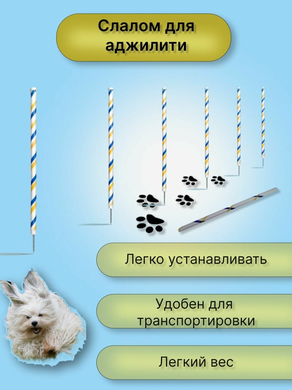 Слалом для аджилити (слалом для собак)