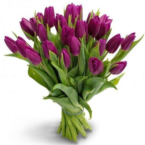 Букет 25 Тюльпанов фиолетовых под ленту Цветочное пространство