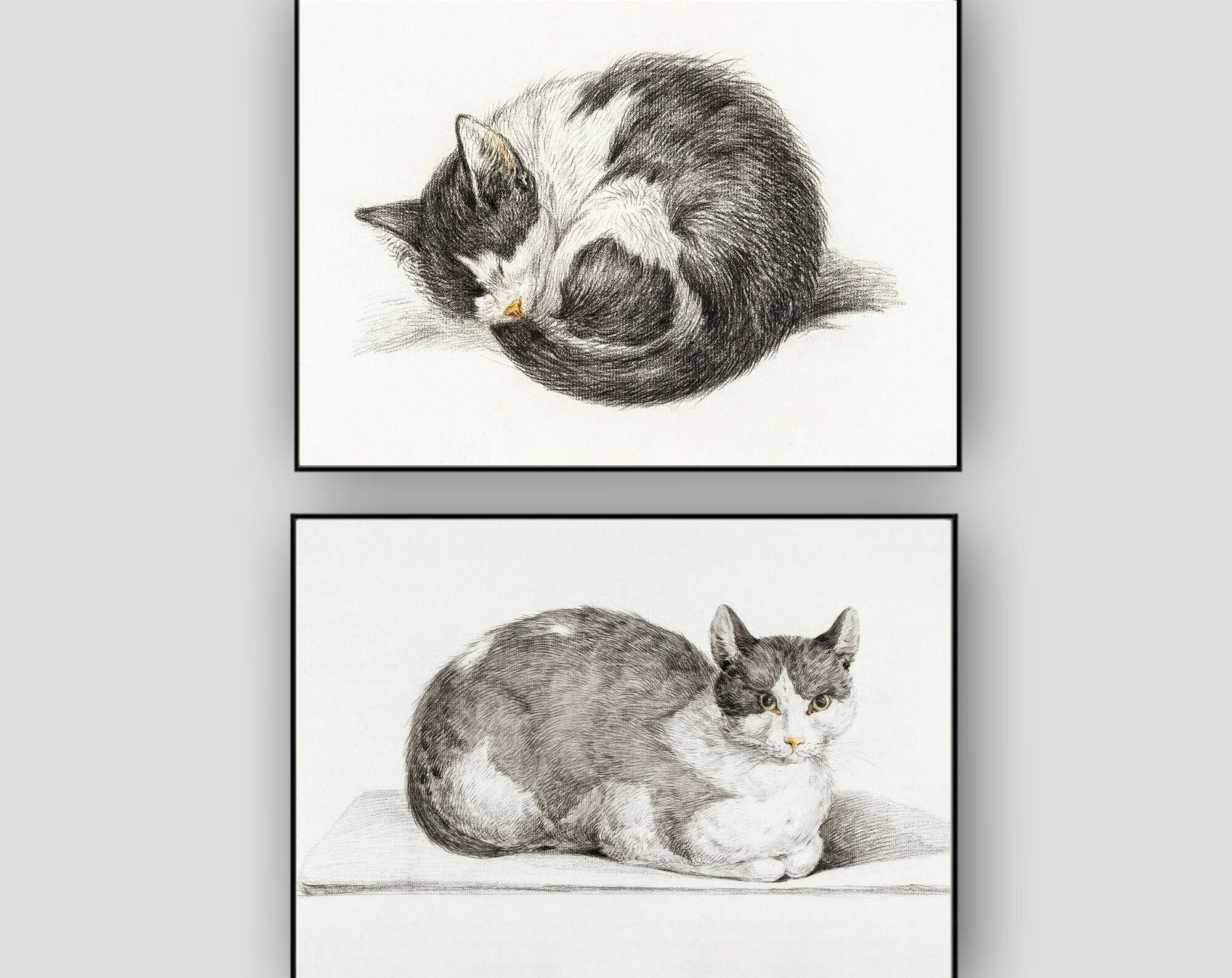 Набор интерьерных постеров - "Кошки - наброски карандашом", А3 без рамы. 2 винтажных плаката в стиле японского минимализма "Два кота"