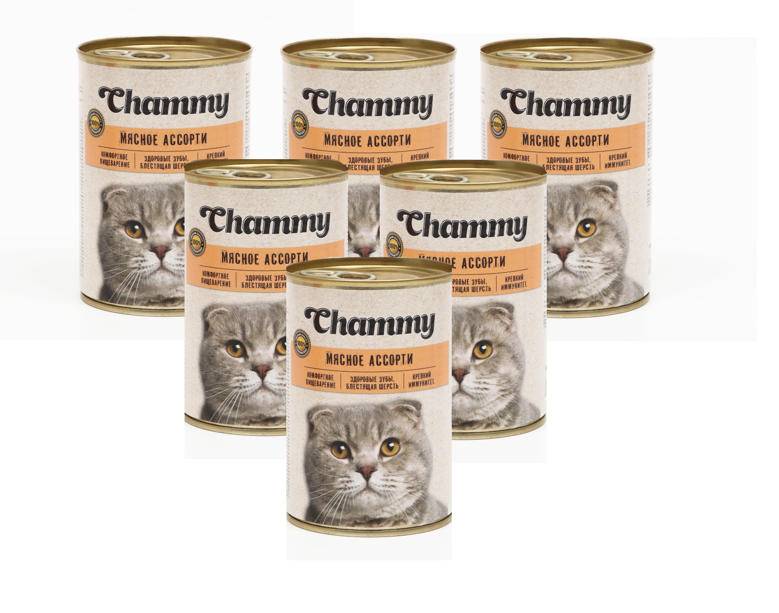 Корм консервированный для кошек Chammy мясное асс-ти в соусе ж/б 415г*6 шт