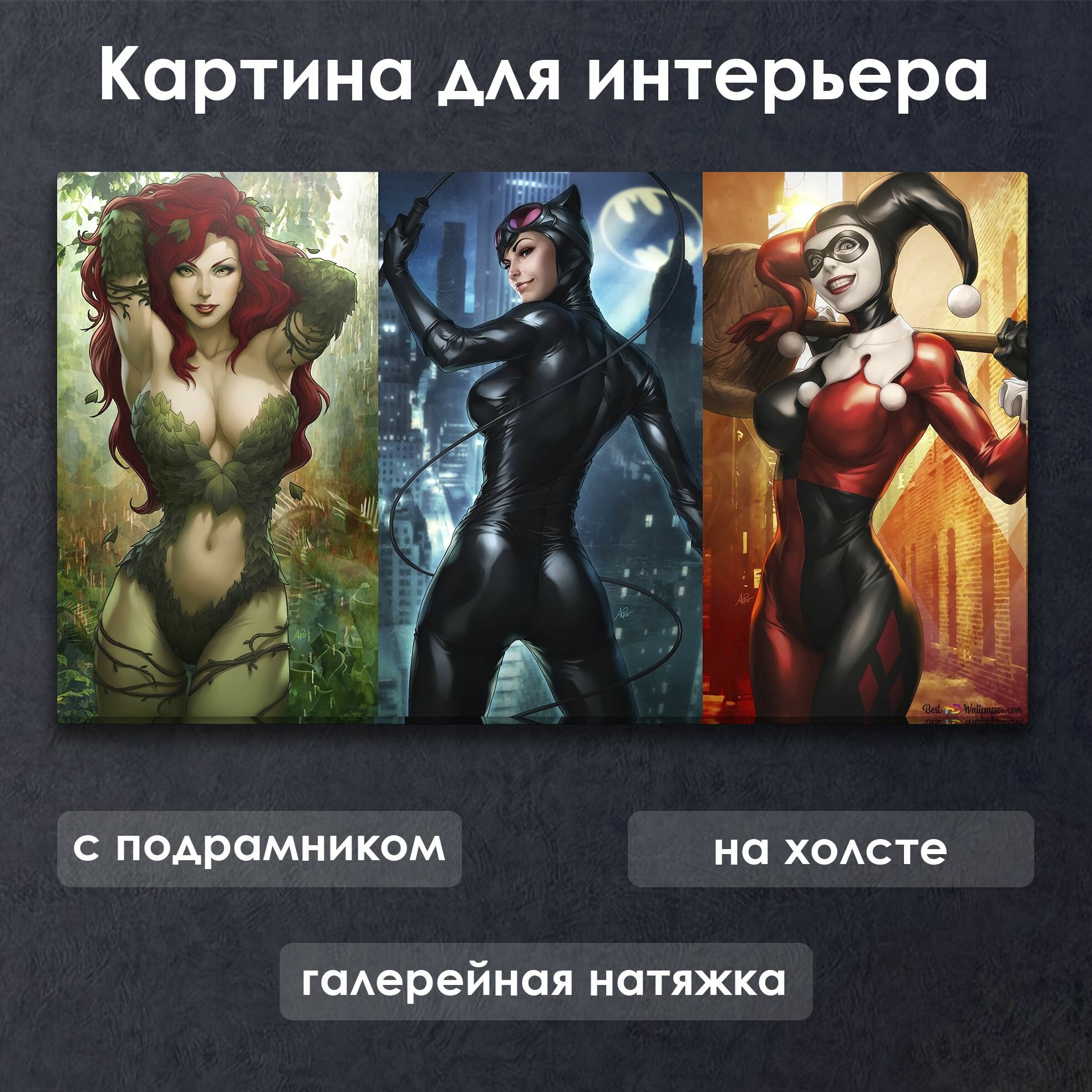 Картина для интерьера с подрамником на холсте на стену DC Харли Квинн Женщина Кошка и Ядовитый Плющ 55 x 30 см