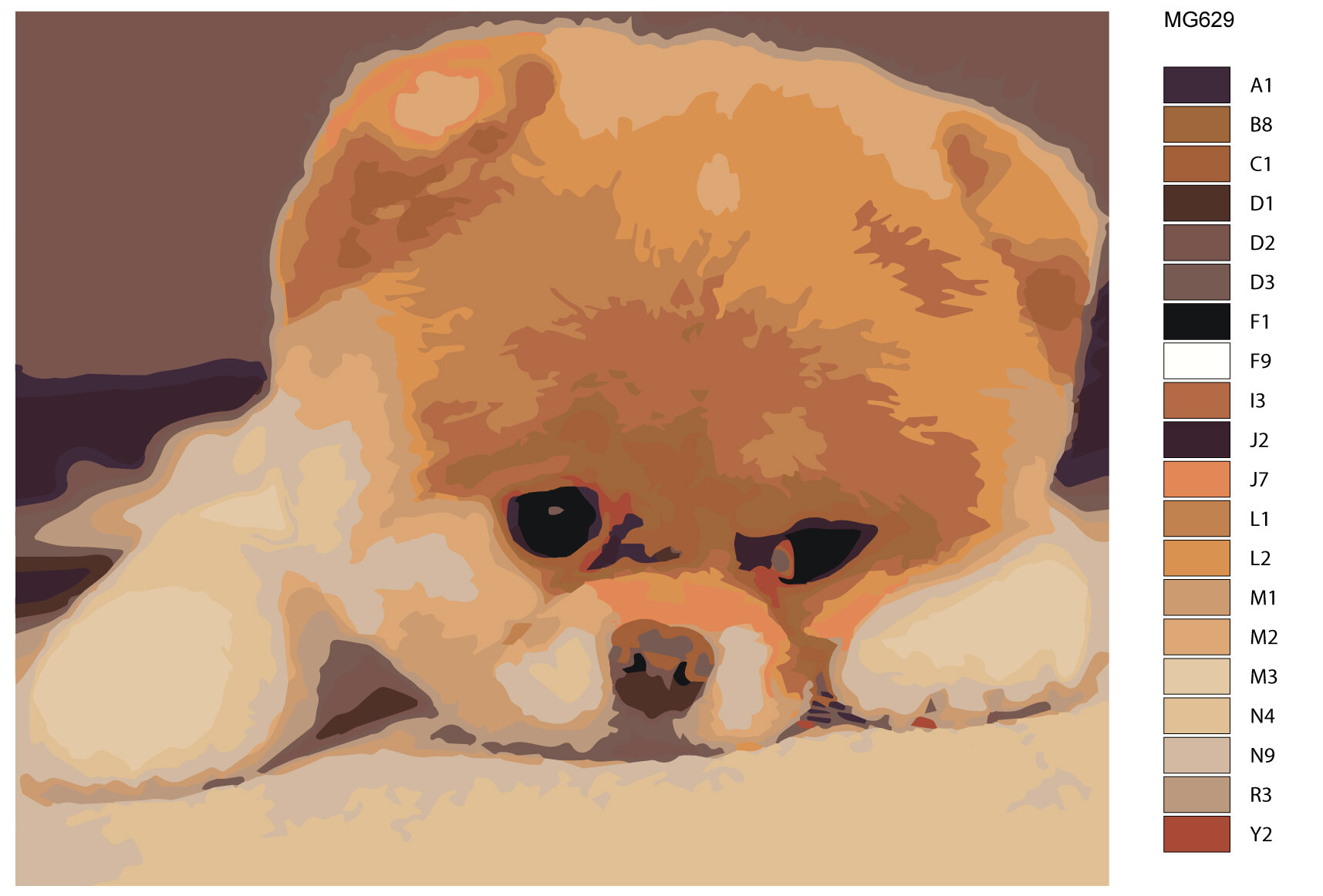 Картина по номерам "Померанский шпиц" MG629 40x50