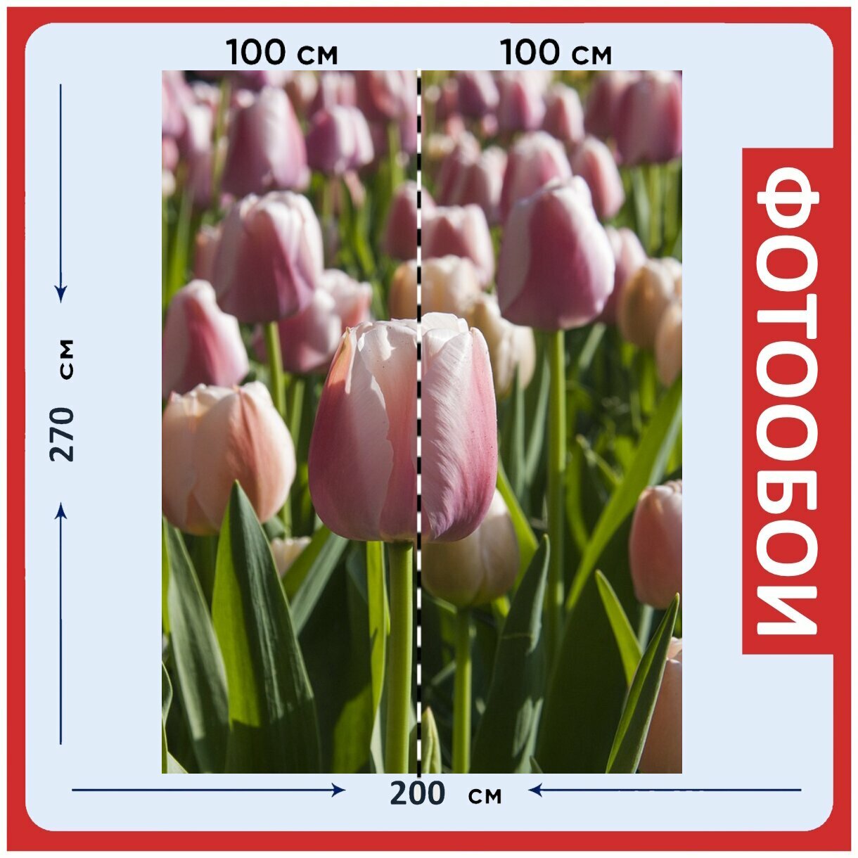 Фотообои "Тюльпаны, весна, апреля" 200x270 см. флизелиновыена стену