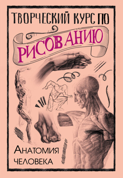 Творческий курс по рисованию. Анатомия человека [Цифровая книга]
