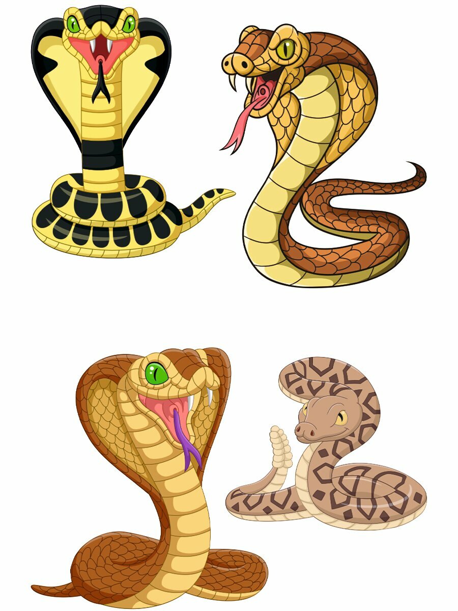 Наклейка интерьерная Змеи