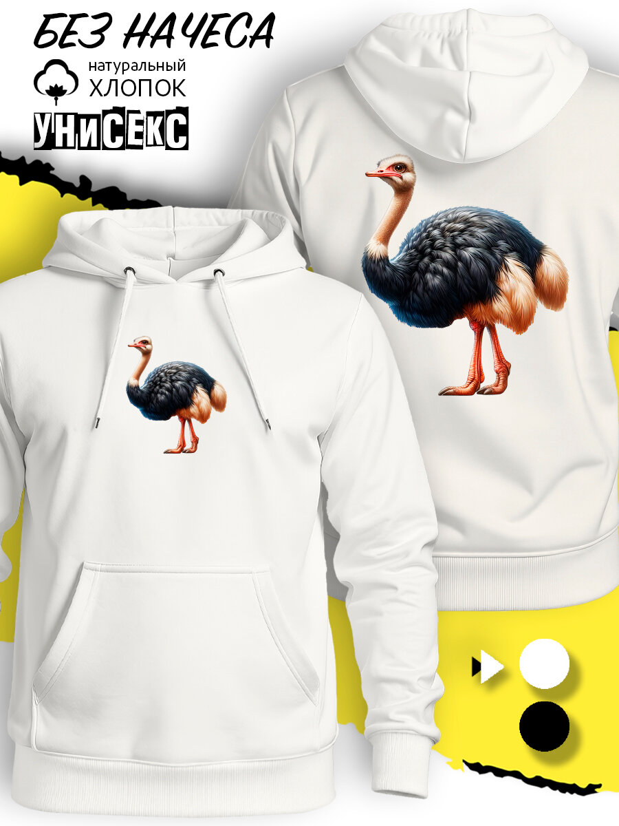 Худи Толстовка свитшот со страусом