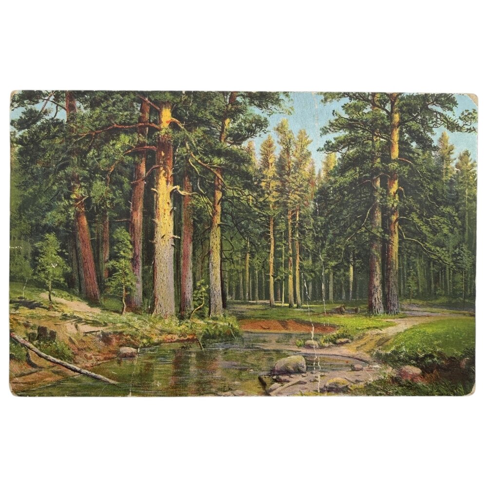 Почтовая открытка "Фёдоров - Строевой лес" 1900-1917 гг. Российская Империя