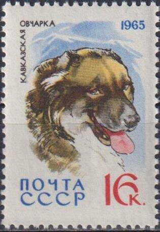 Почтовые марки СССР 1965г. "Кавказская овчарка" Собаки MNH