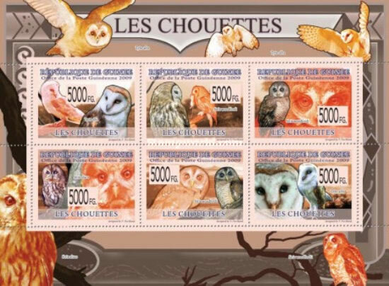 Почтовые марки Гвинея 2009г. "Фауна - Совы" Совы, Птицы MNH