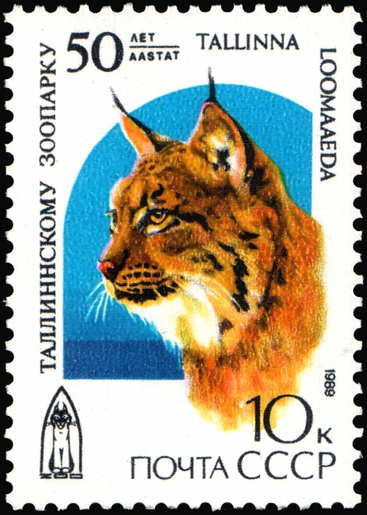 Почтовые марки СССР 1989г. "50-летие Таллинского зоопарка" Кошки MNH