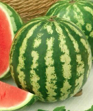 Семена Арбуза Кримглоб F1 (0,5 гр.)