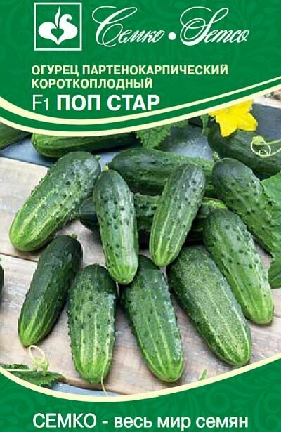 Семена Огурец Поп Стар F1 "Семко" (5шт в пакете)