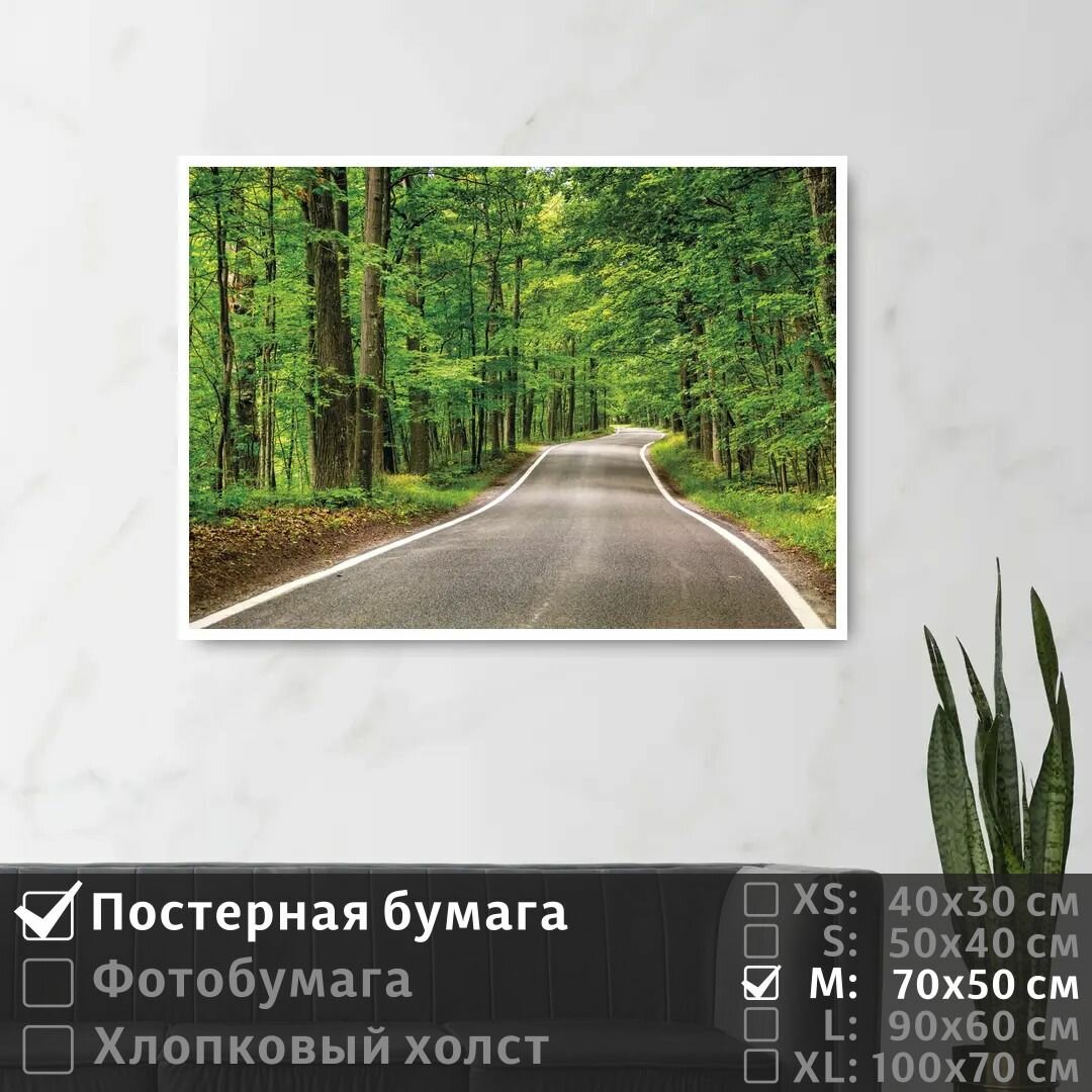 Постер на стену Дорога Уходящая Вдаль В Летнем Лесу 70х50 см ПолиЦентр