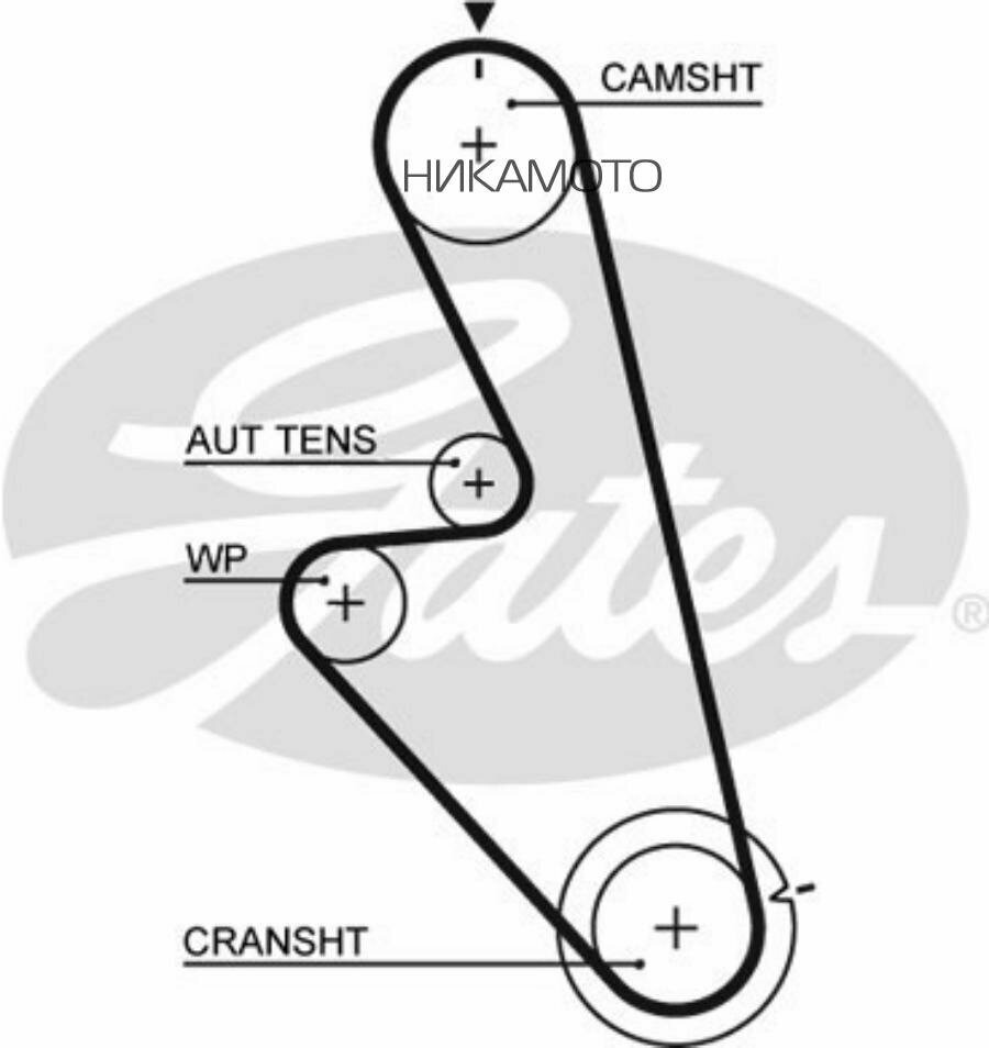 Ремень зубчатый 125 X 20 (8595-1) Gates арт. 5449
