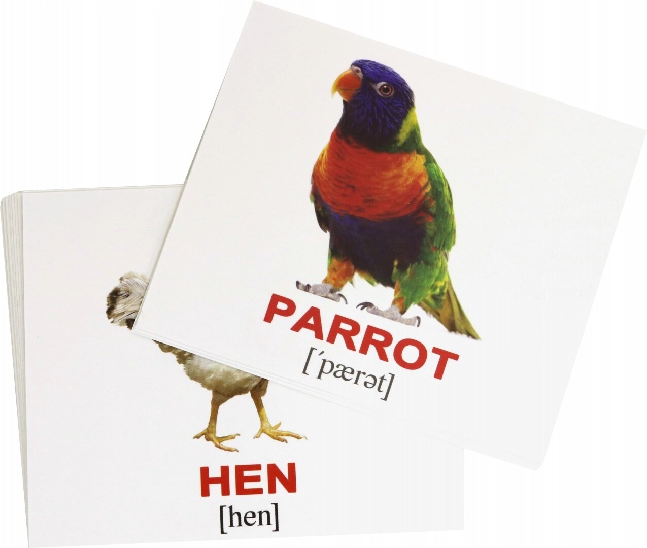 Обучающие двусторонние карточки Мини Вундеркинд с пелёнок "Domestic animals/Домашние животные с транскрипцией" (русский + английский), 40 карточек Домана