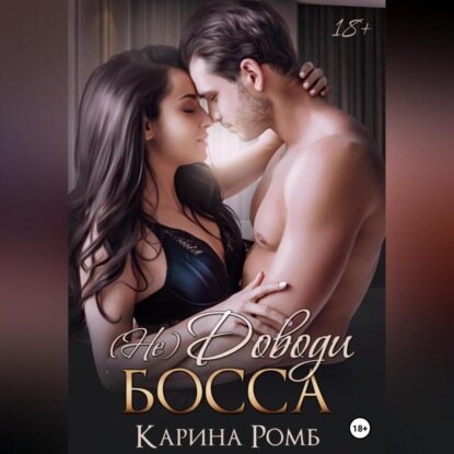 (Не)Доводи босса [Аудиокнига]