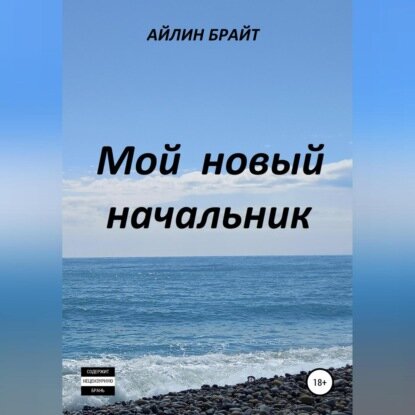 Мой новый начальник [Аудиокнига]