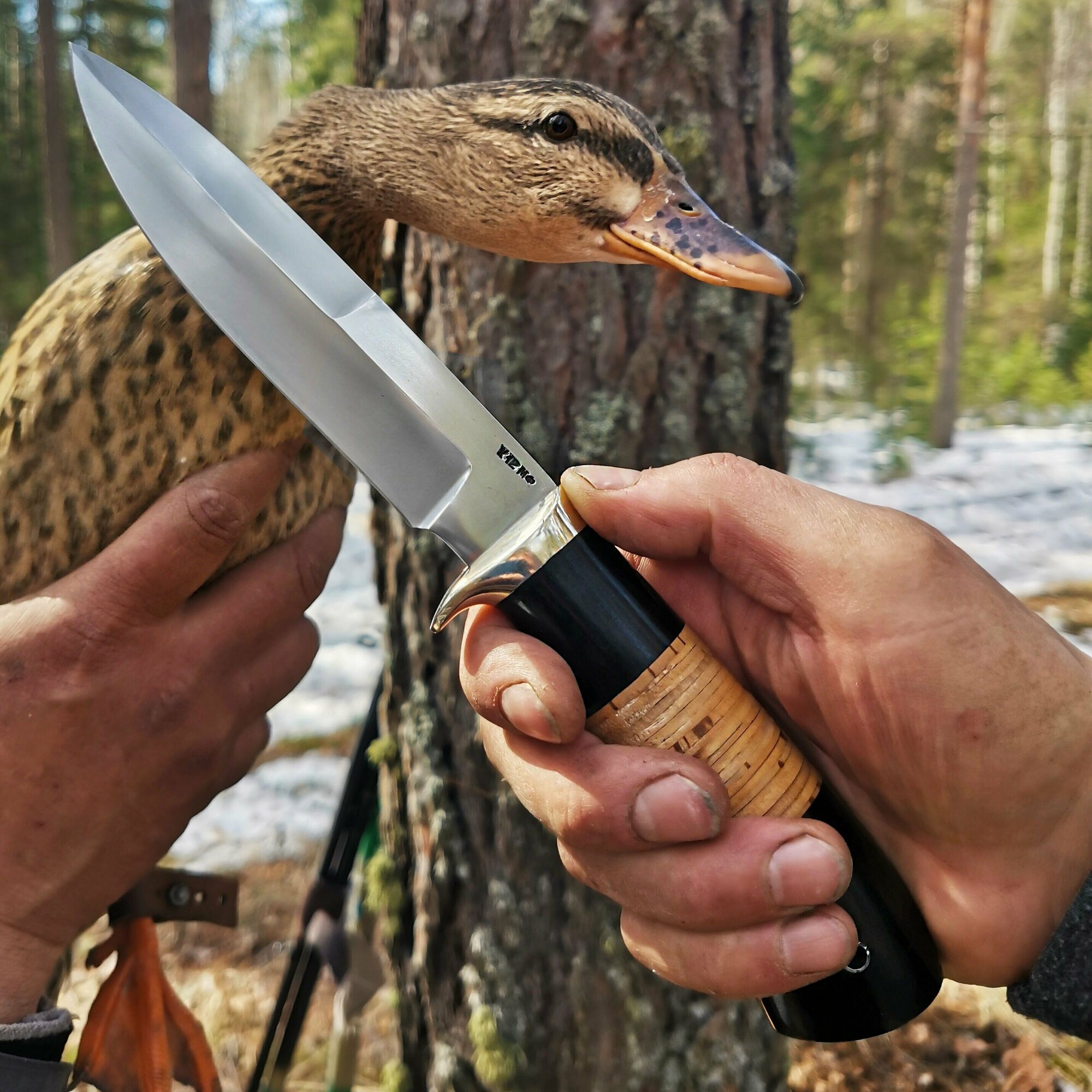 Нож Сфинкс из кованой стали Х12МФ, рукоять граб-береста-граб из кованой стали Х12МФ