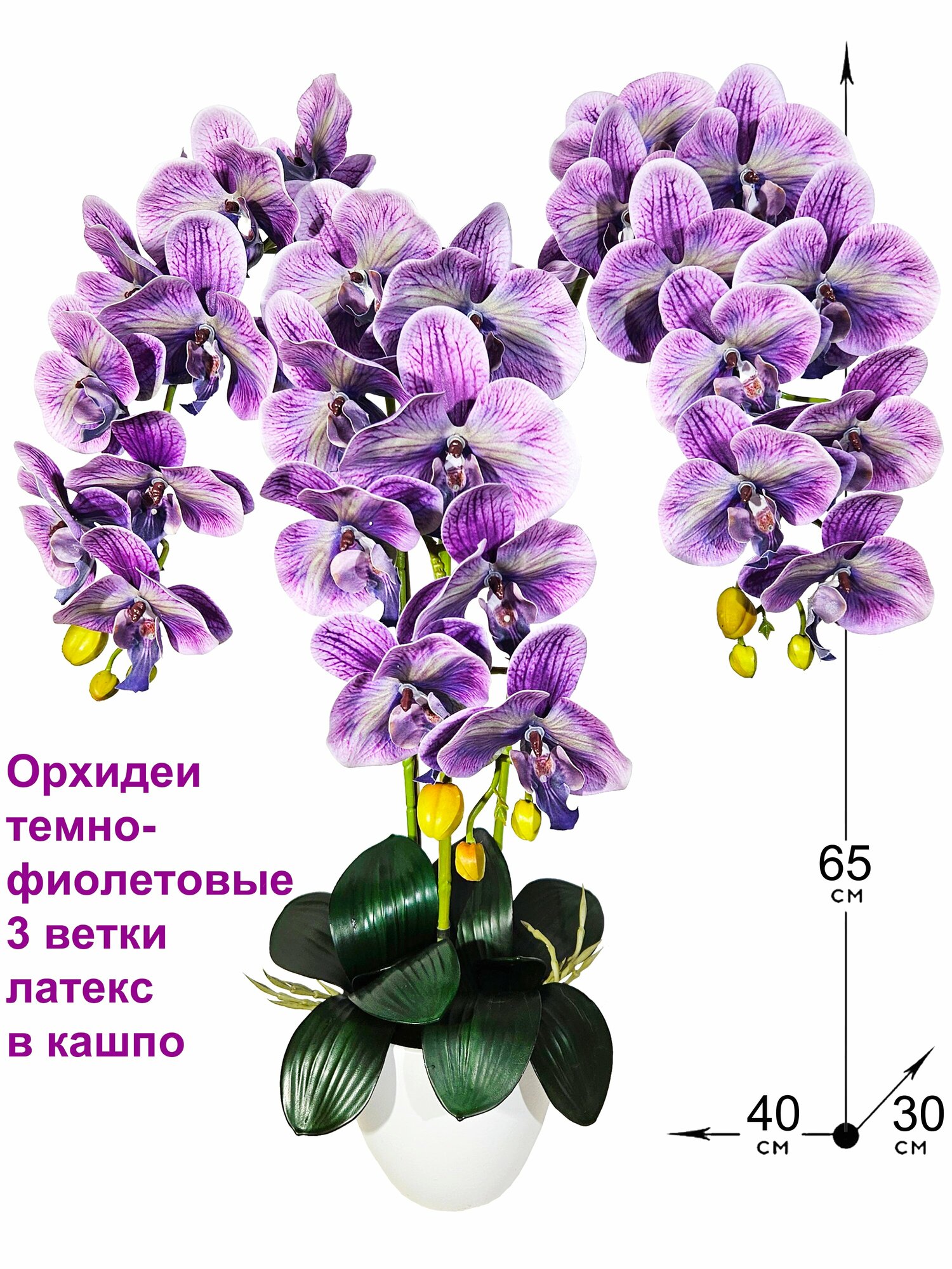 Искусственные Орхидеи темно-фиолетовые 3 ветки латекс в кашпо, 65см от ФитоПарк