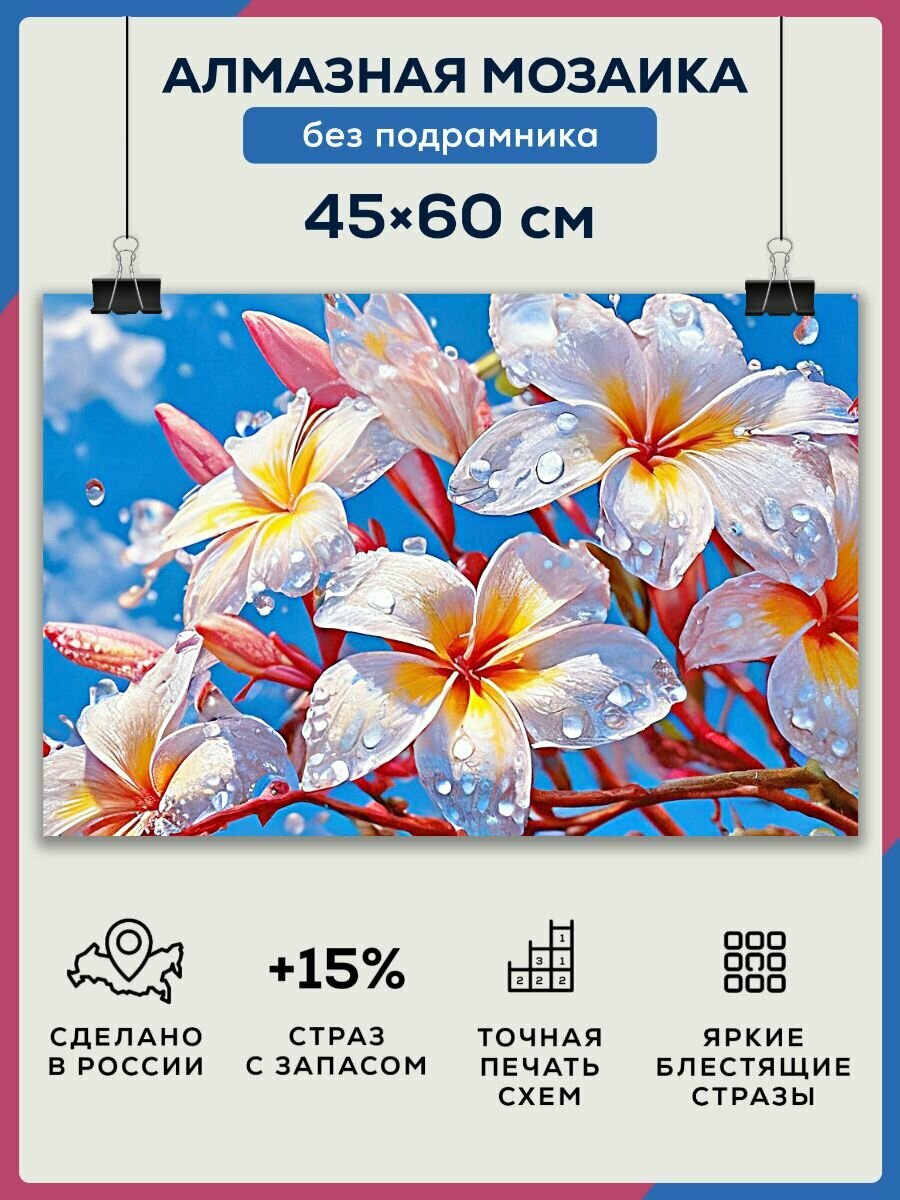 Алмазная мозаика 45x60 Цветы плюмерия без подрамника