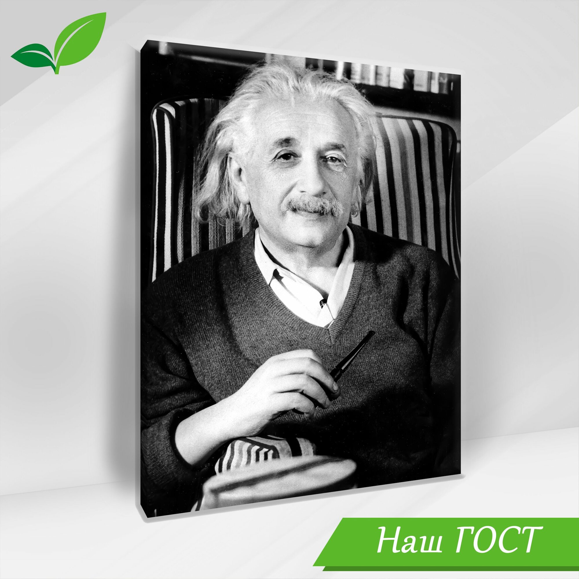 Интерьерная картина "Альберт Эйнштейн" 30*40 см