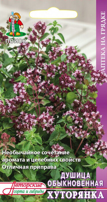Семена душицы обыкновенной "Хуторянка" 10 упаковок по 0,01 гр - многолетнее растение, на одном месте растет до 10 лет.