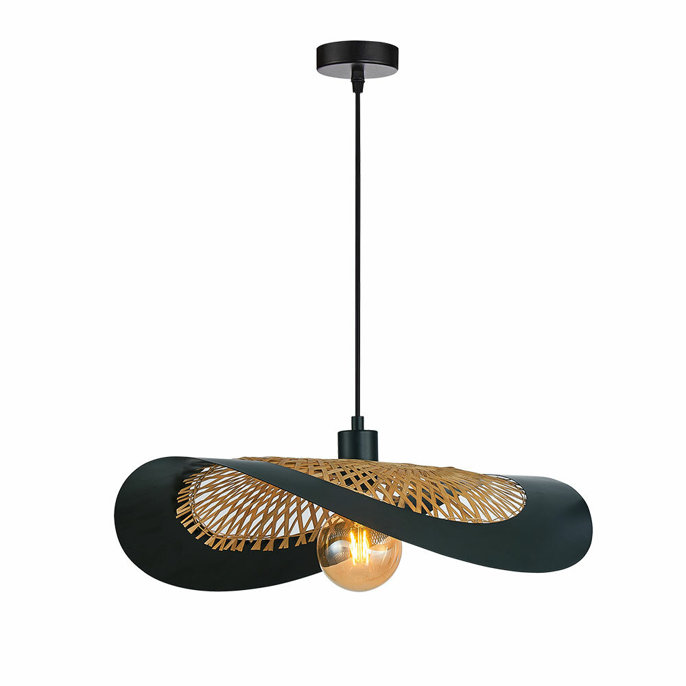 Подвесной светильник Arte Lamp WOODSTOCK A7059SP-1BK
