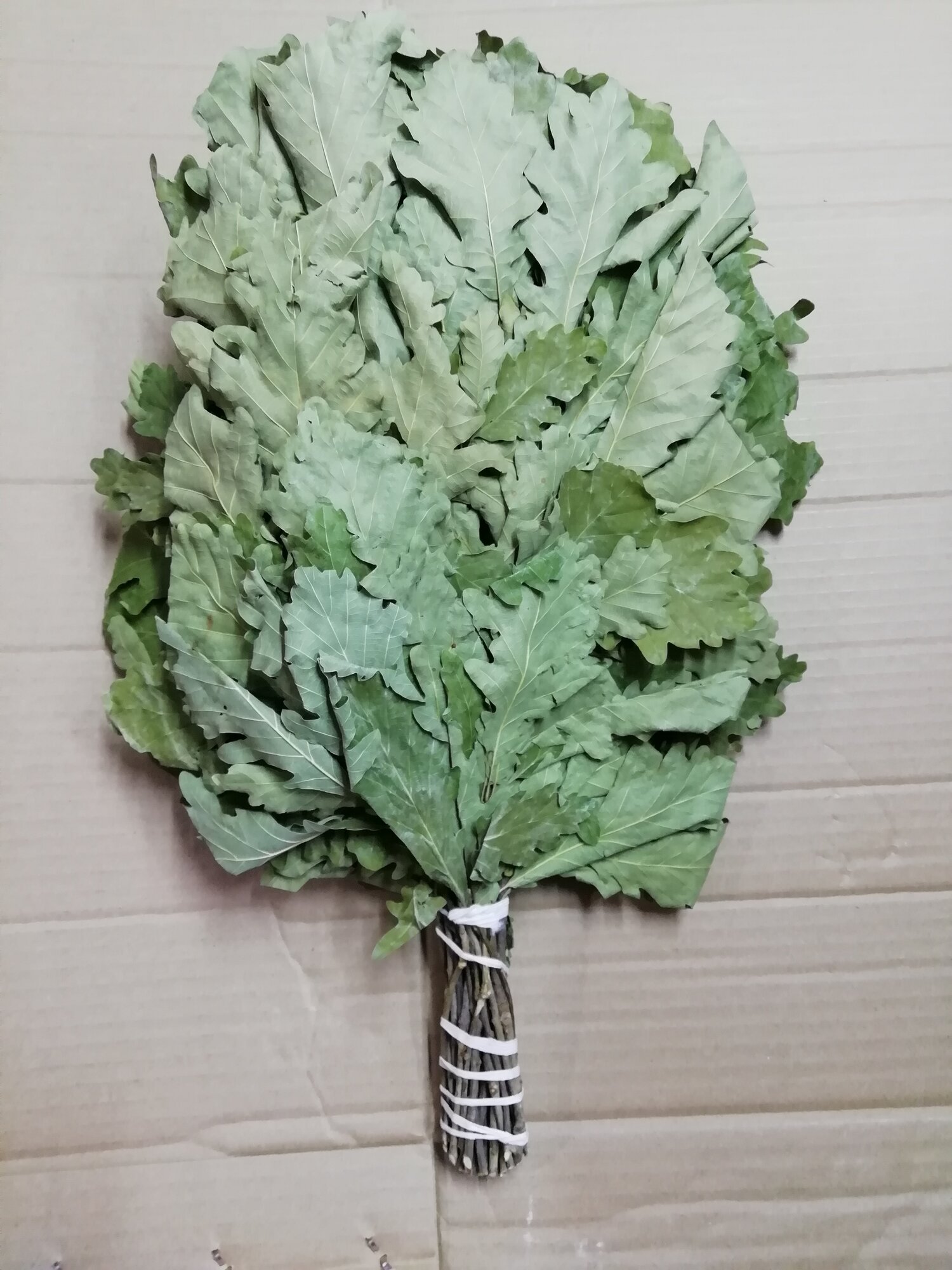 Веник банный дубовый