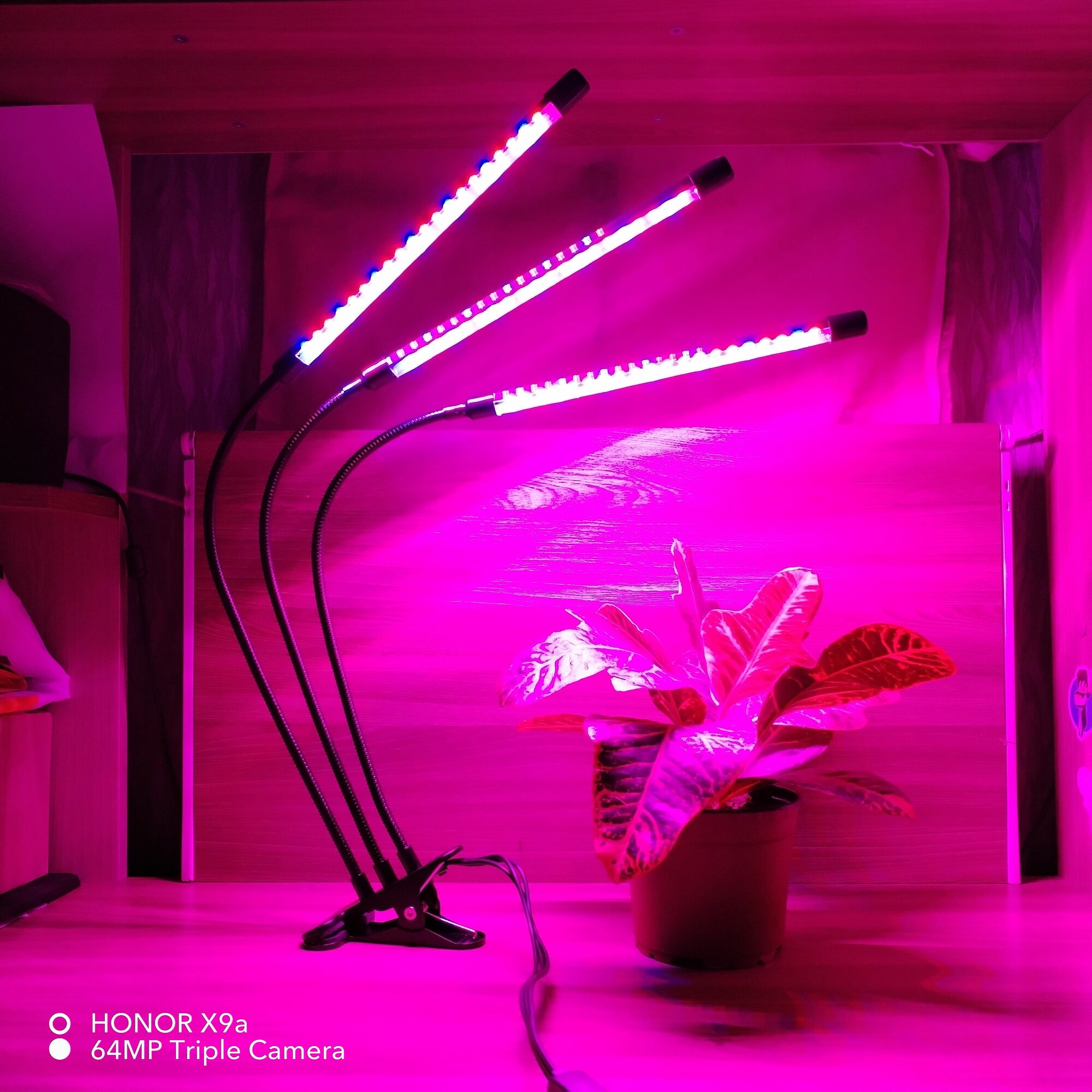 Фитолампа ультрафиолетовая для рассады гибкая тройная