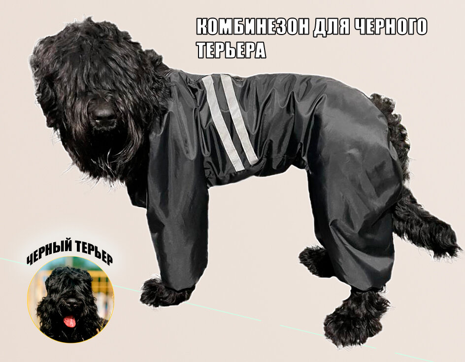 Комбинезон-дождевик для черного терьера кобеля, повышенной прочности, со светоотражающими полосами, цвет черный