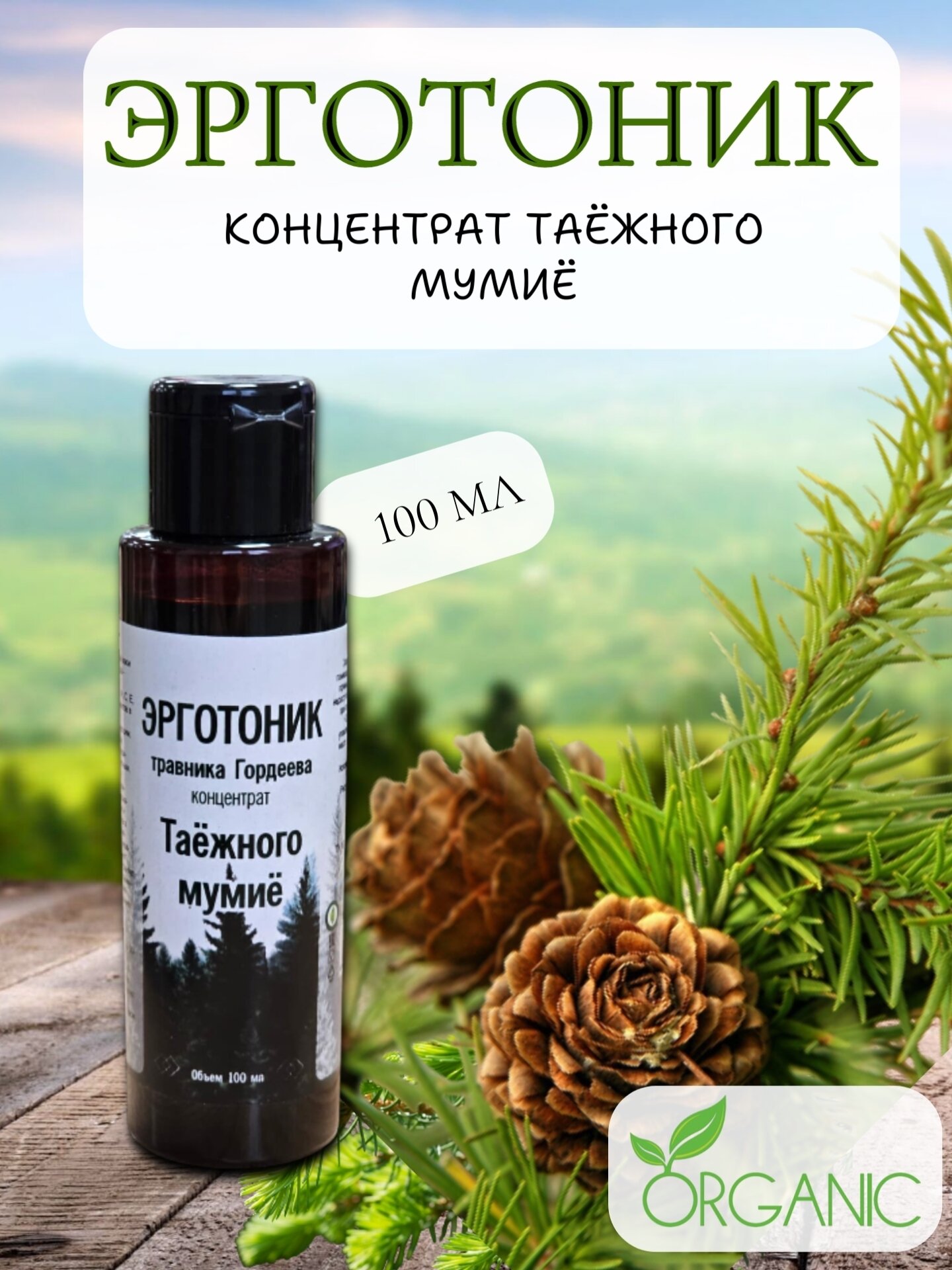 Эрготоник, концентрат таежного мумие, Здравница травника Гордеева, 100 мл