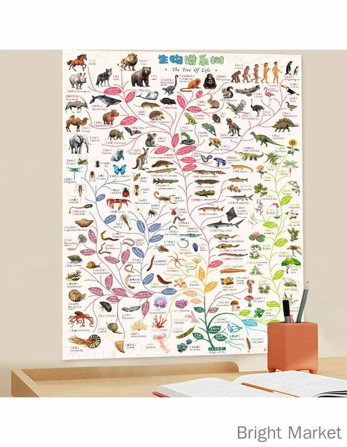 Интерактивный плакат