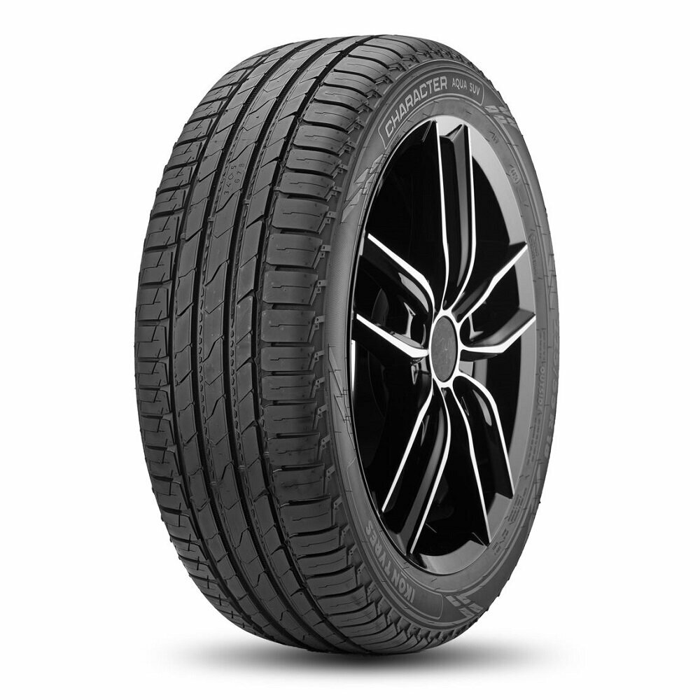 Автошина Ikon Tyres Character Aqua (Nordman S2 ) 235/50R19 99V SUV