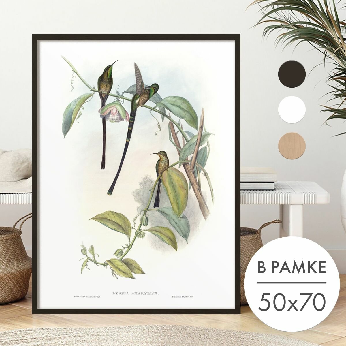 Постер 50х70 В рамке "Птицы на ветке" для интерьера