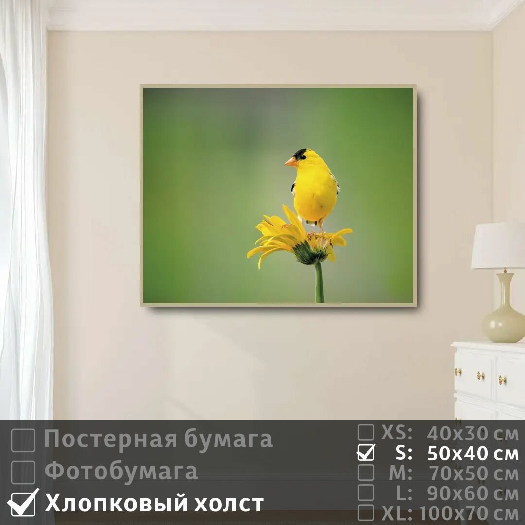 Постер на холсте Птичка Желтая Сидит На Цветке 50х40 см ПолиЦентр