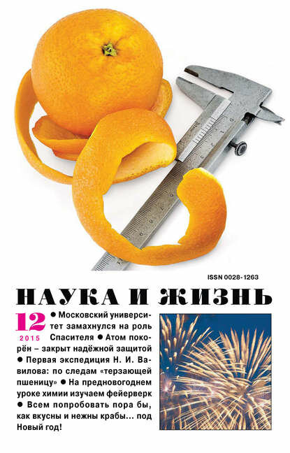 Наука и жизнь №12/2015 [Цифровая книга]