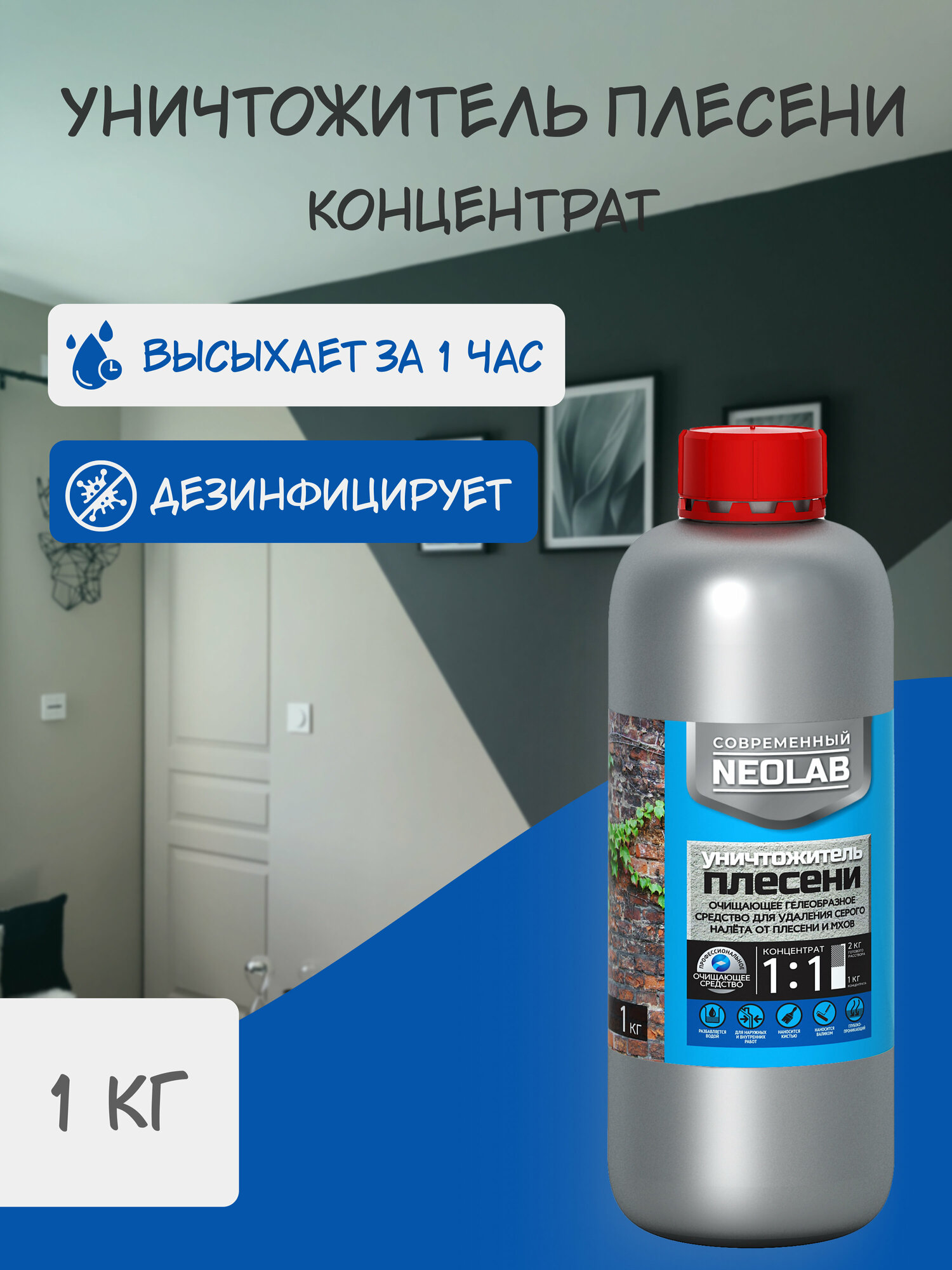 NEOLAB , Концентрат 1:1 уничтожитель плесени , 1 кг
